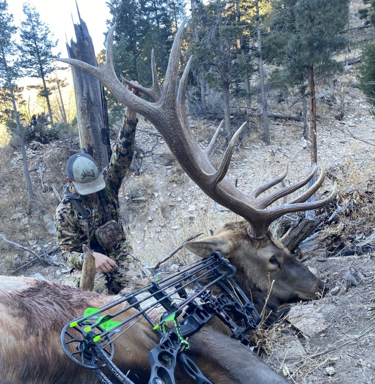 New Mexico Elk Hunts: Draw Deadline March 2026 – Cut Outfitters